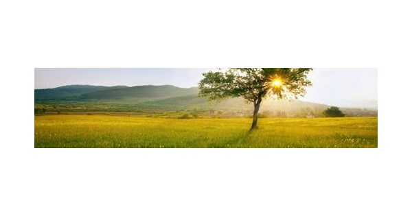 Trentin Johnson Obituary (2026)