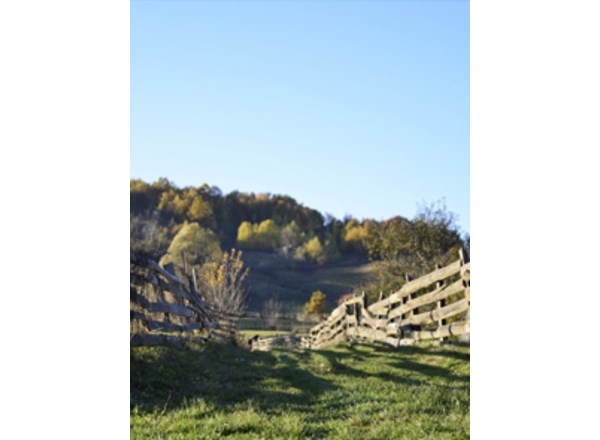 Ricky David Combs Obituary (2026) - Galax, VA - High Country Services ...