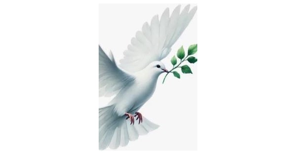 Lashima Channel Dean Obituary (2026) - Durham, NC - Holloway Memorial ...