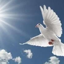 Cynthia Leeann Patterson Obituary (2026) - Jacksonville, FL - Schnauss ...