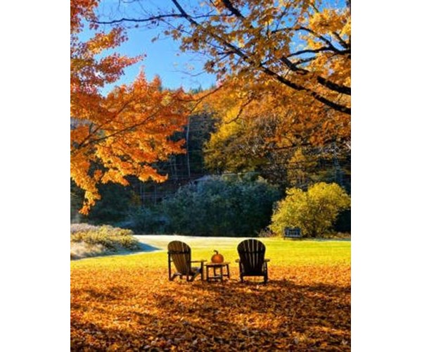 Louis Hector Obituary (2025) - Savannah, TN