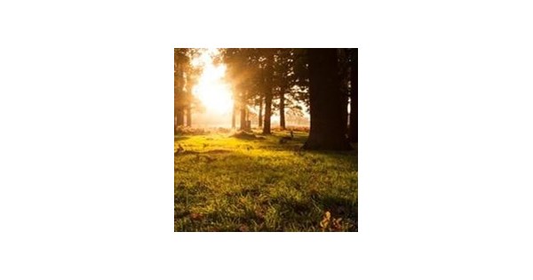 Emil John Markulis Obituary (2024) - Annapolis, MD - Lasting Tributes ...