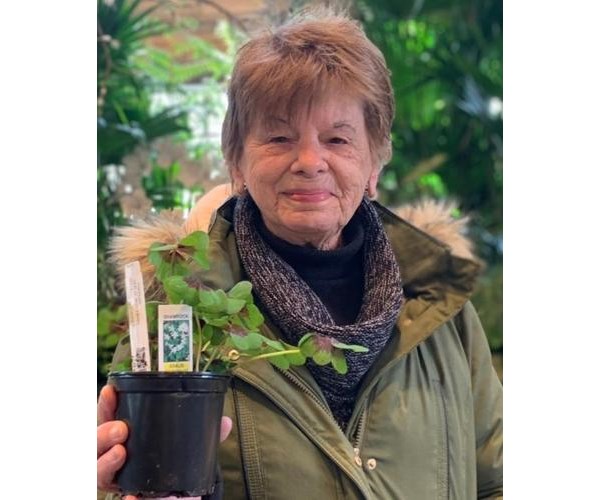 Dorothy Jeanne Brown Obituary (2026) - Norwalk, CT - Collins Funeral ...