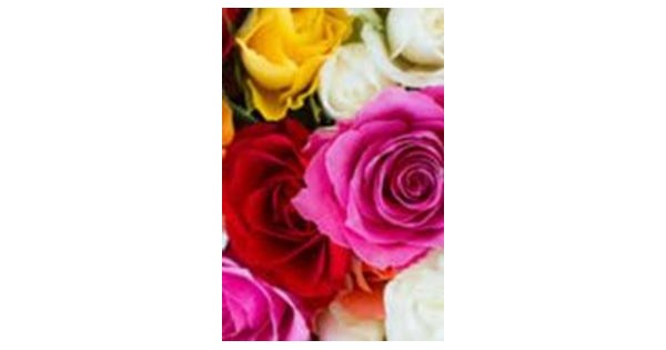 Nancy Wharton Obituary (2023) - Redding, CA - Allen & Dahl Funeral ...
