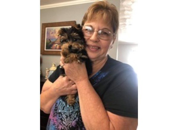 Beverly Kay Francis Obituary (2026) - Holt, MI - Palmer Bush & Jensen ...