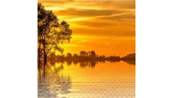 Mickey Louise Martin Obituary (2026) - Indianapolis, IN - Cremation ...