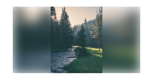 Shannon Dean Miller Obituary (2023) - Irvine, KY - Warren F. Toler ...
