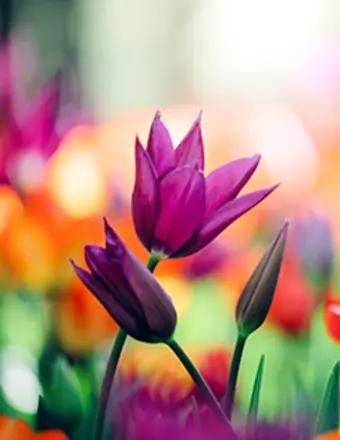 Judith W. Preston Obituary (2025) - Wernersville, PA - Lamm & Witman ...