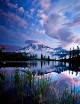 Mary Louise Bayliss Obituary (2025) - Ashland, OR - Litwiller-Simonsen ...