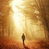 Mr. William I. Noel Obituary (2026) - Heathsville, VA - Berry O. Waddy ...