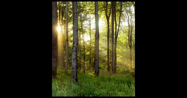John Spiva Obituary and Online Memorial (2023)