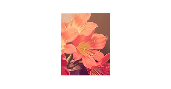 Marie Budroe Obituary (2023) - Marlton, NJ - Bradley Funeral Home - Marlton