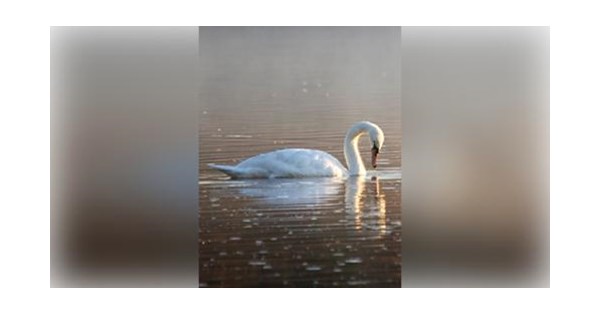 Peter Atlee Geiger Obituary (2023) - Jacksonville, FL - Integrity ...