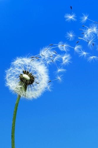 Danielle Johnson Obituary and Online Memorial (2026)