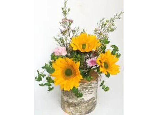 Sandra Hart Seaman Obituary (2025) - Brunswick, GA - Brunswick Memorial ...