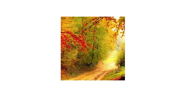 Penny Rhodes Lott Obituary (2021) - Valley Grande, AL - CLOSED-Selma ...