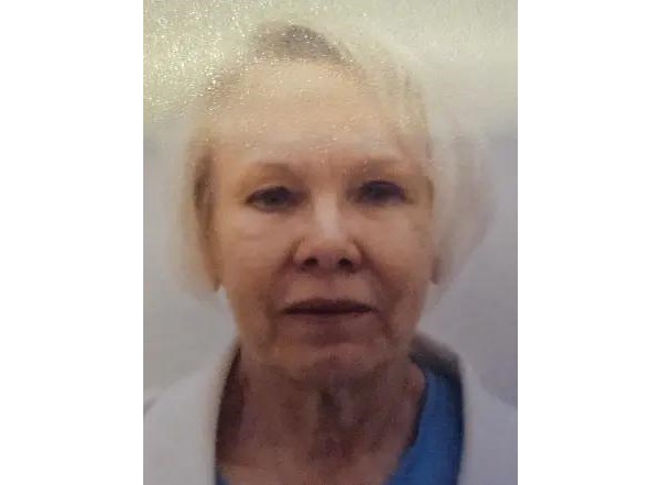 Gayle M. Schultz Obituary (1955 - 2024) - Newport, NY - WKTV