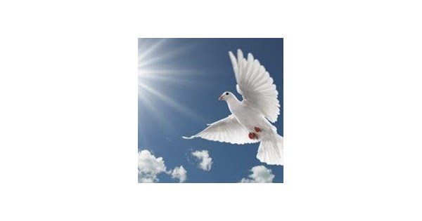 Mary Ellen Bain Obituary (1941 - 2025) - Summerville, SC - Charleston ...