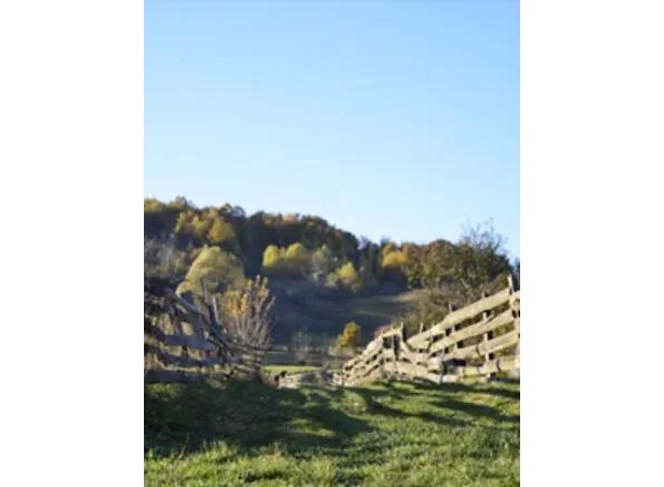 Warren Bertram "Bert" Arey Obituary (1954 - 2025) - Bridgewater, VA ...