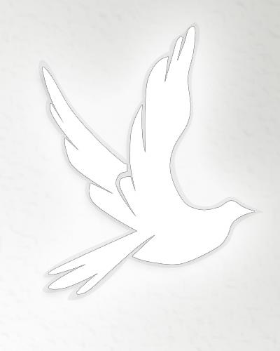 Kelly Balfour Obituary - Death Notice and Service Information