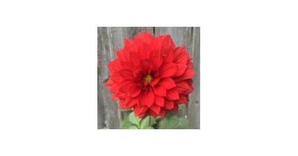 Vicki Hilberg Obituary and Online Memorial (2026)