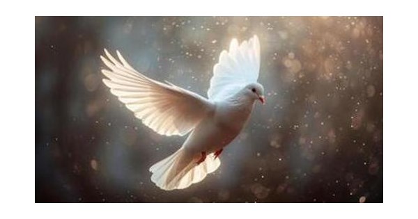Ellis G. Murphy Obituary (2025) - Morristown, TN - Allen Funeral Home ...