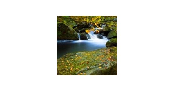 Kevin Wayne Baggett Obituary (2026) - Graceville, FL - James & Lipford ...