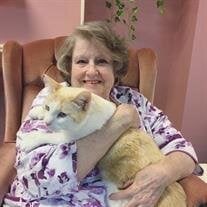 Sheryl Turner Obituary (2026) - Tallahassee, FL - Abbey Funeral Home ...