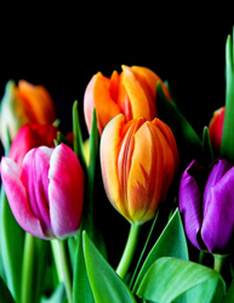 Lydia Massey Obituary (2026)