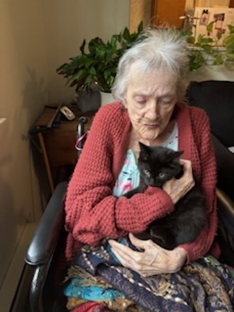 Susan A. Copeland Obituary (2026) - Wenham, MA - Campbell Funeral Home ...