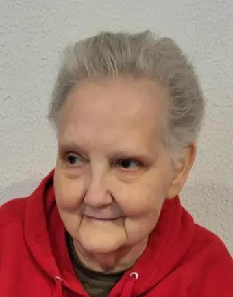 Alice Irene Bryan-Gamble Obituary (2024) - Adrian, MI - Anderson-Marry ...
