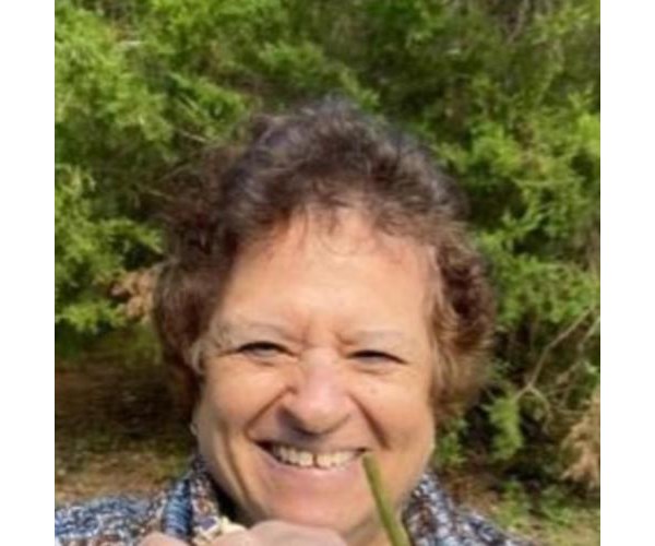 Debra Favarulo Obituary and Online Memorial (2026)