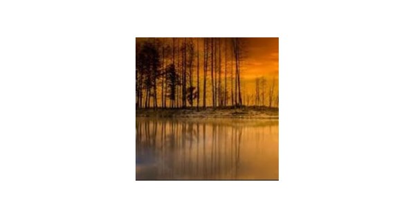 David Lee Bush Obituary (2024) - Keizer, OR - Keizer Funeral Chapel