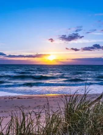 William Thomas St Cyr Obituary (2025) - Tampa, FL - Scrivens Johnson ...