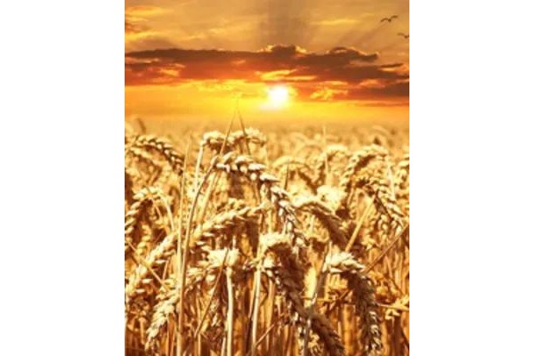 Gerald Gilbert Gilman Obituary (2025) - Panama City, FL - Kent-Forest ...