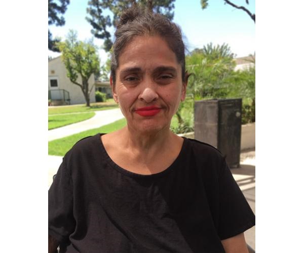 Debra Elise Ledoux Obituary (2024) - Laguna Hills, CA - O'Connor ...