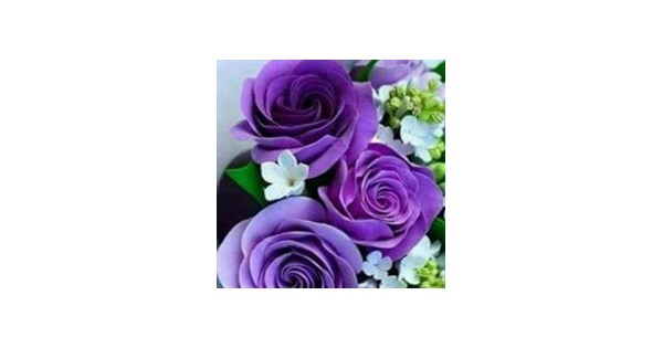 Jean Arlene Weaver Obituary (2024) - Gates, NC - Hunter's Funeral Home ...
