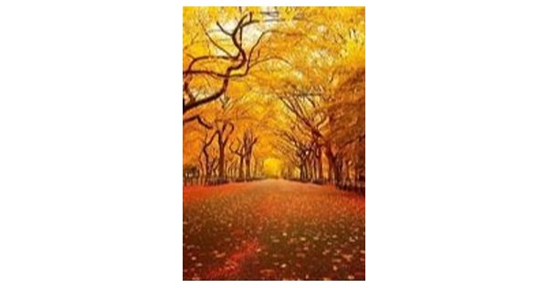 Audrey M Cannon Obituary (2025) - Redding, CA - Allen & Dahl Funeral ...