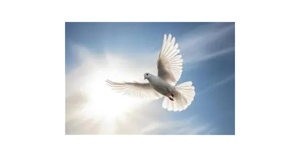 Ricky Anthony Jeffrey Obituary (2025) - Bloomfield, CT - Howard K. Hill ...