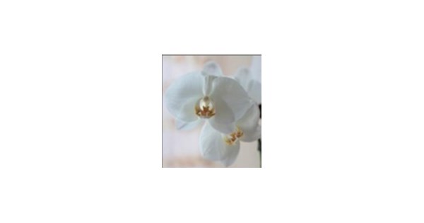 Richard Garner Obituary (2024) - Salt Lake City, UT - Wasatch Lawn ...