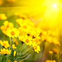 Jolene Steed Obituary (2026) - Soda Springs, ID - Horsley-Sims Funeral ...
