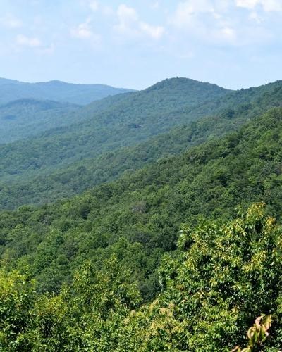 Terry Thompson Obituary (2024) - Monroe, GA - Meadows Funeral Home, Inc.