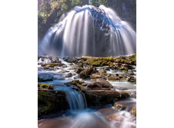 Patrick Dady Obituary (1970 - 2025) - Ashland, OR - KDRV