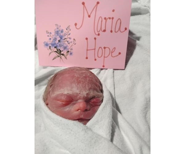 Maria Hope Kraft Obituary (2025) - Saint Joseph, MO - KQ2