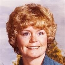 Susan Jo Colaccino Obituary (2026) - Novi, MI - O'Brien-Sullivan ...