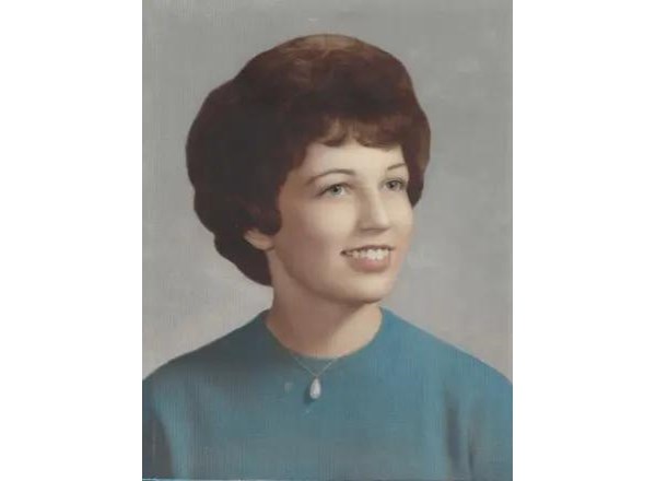 Nancy "Luann" Jenkins Obituary (2025) - Litchfield, MI - Eagle Funeral ...