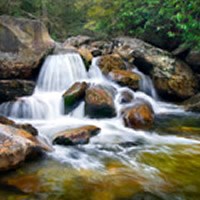 Martha Jane "Bivins" Adcock Obituary (2026) - Jackson, GA - Haisten ...
