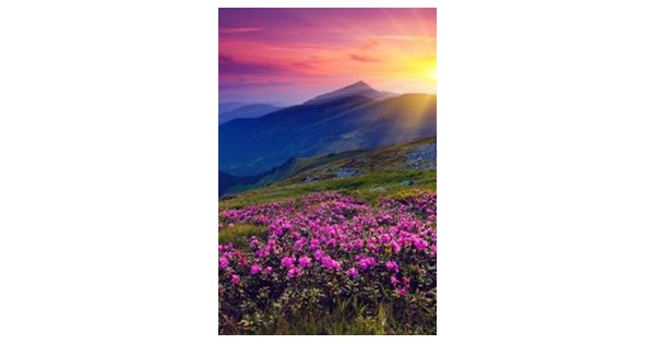 Olga Long Obituary (2025) - Auburn, WA - Price-Helton Funeral Home