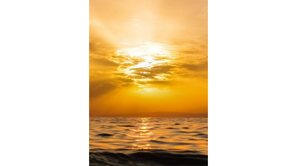 Kevin Spano Obituary (2025) - Gibraltar, MI - Martenson Family of ...