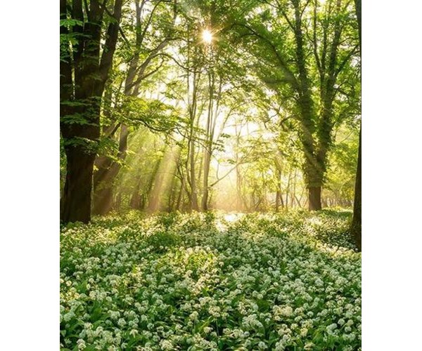 Derek Laughlin Obituary (1969 - 2025) - Clarksville, TN - Clarksville Now